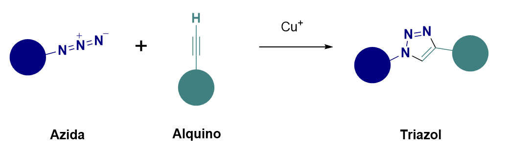 Química Click: la química que imita a la naturaleza – Foro Química y ...